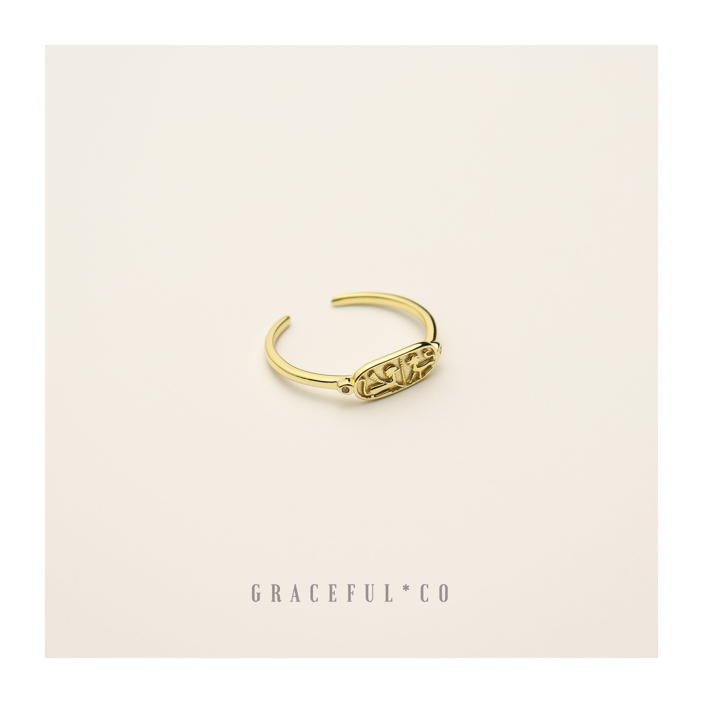 The Guardian Ring – Gracefulandco